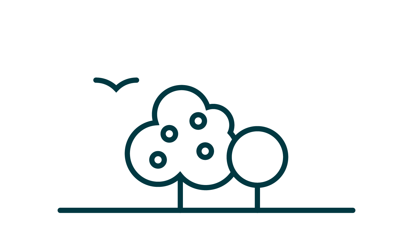 Get Involved | Raise: Cumbria Community Forest