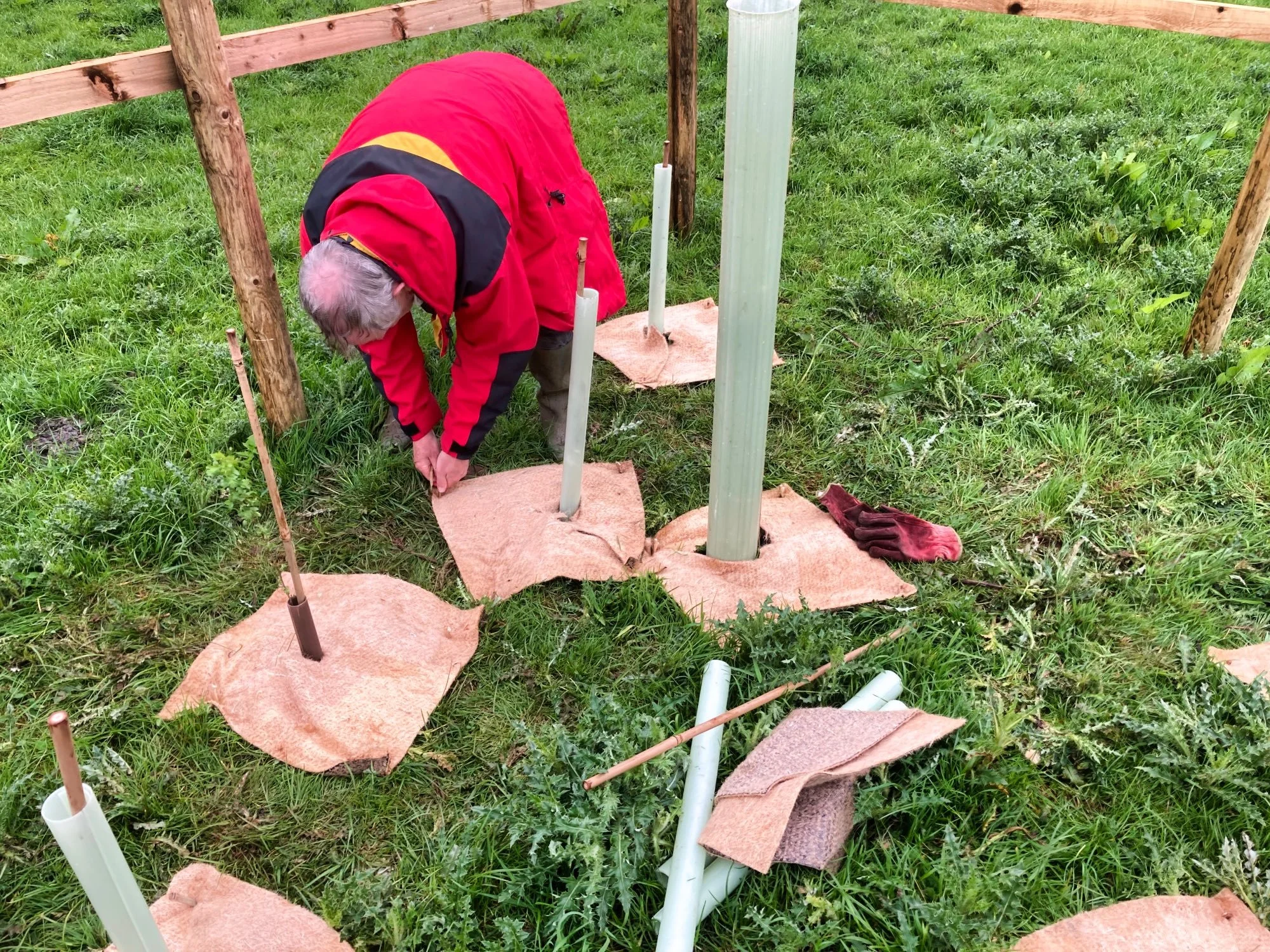 Park House Farm | Raise: Cumbria Community Forest