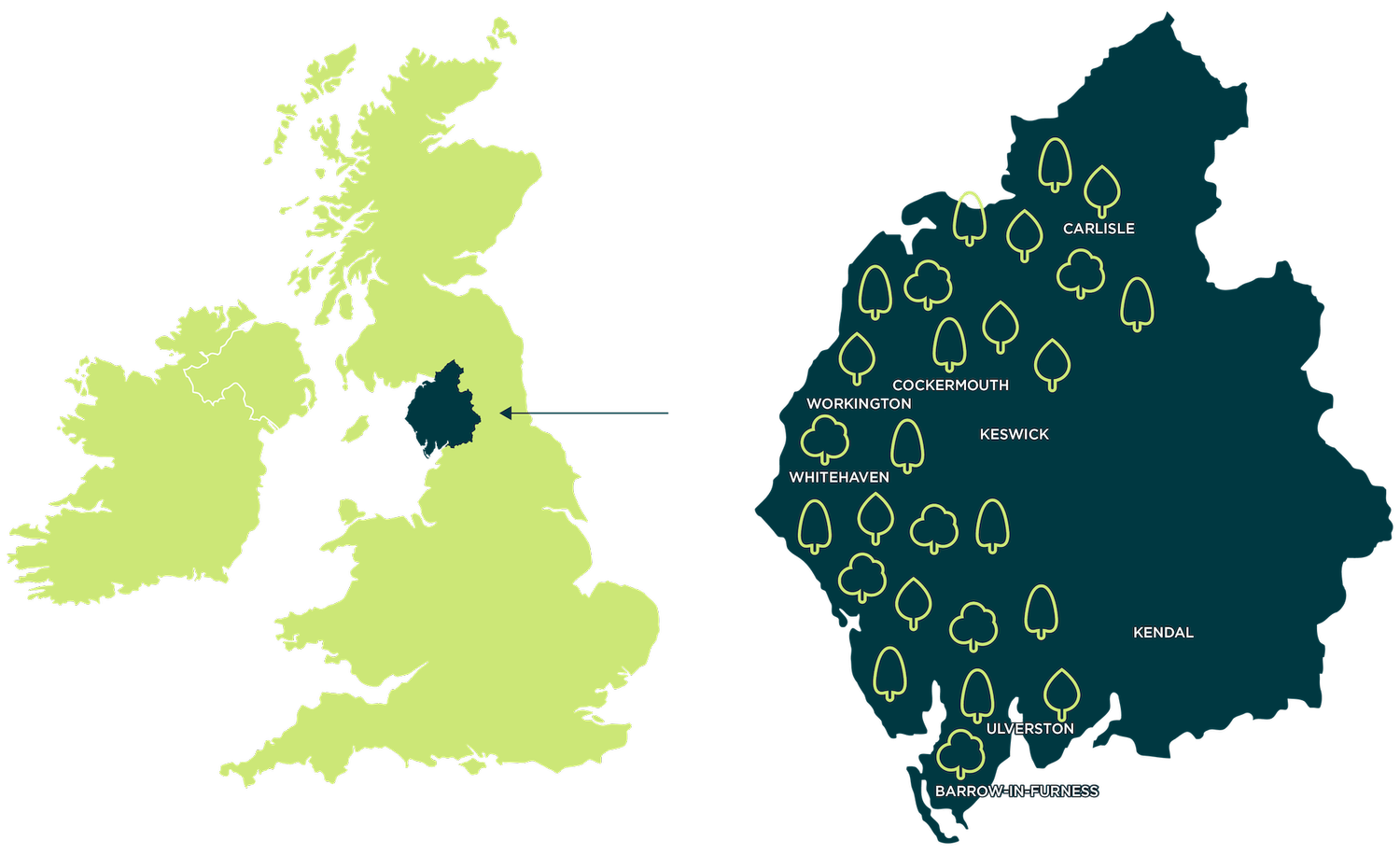 Raise: Cumbria Community Forest | Sustainable Woodland Creation To ...