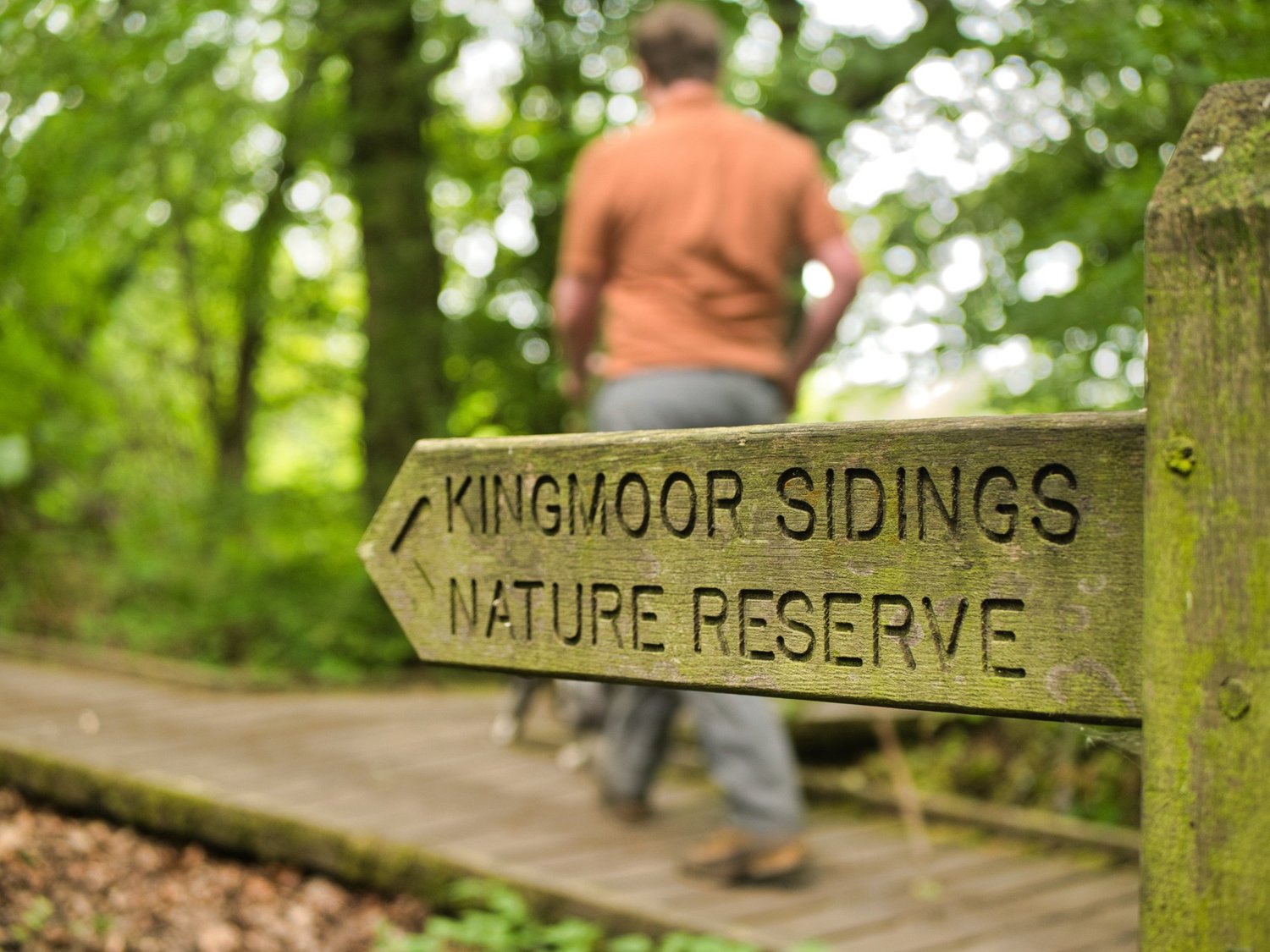 Case Studies | Raise: Cumbria Community Forest