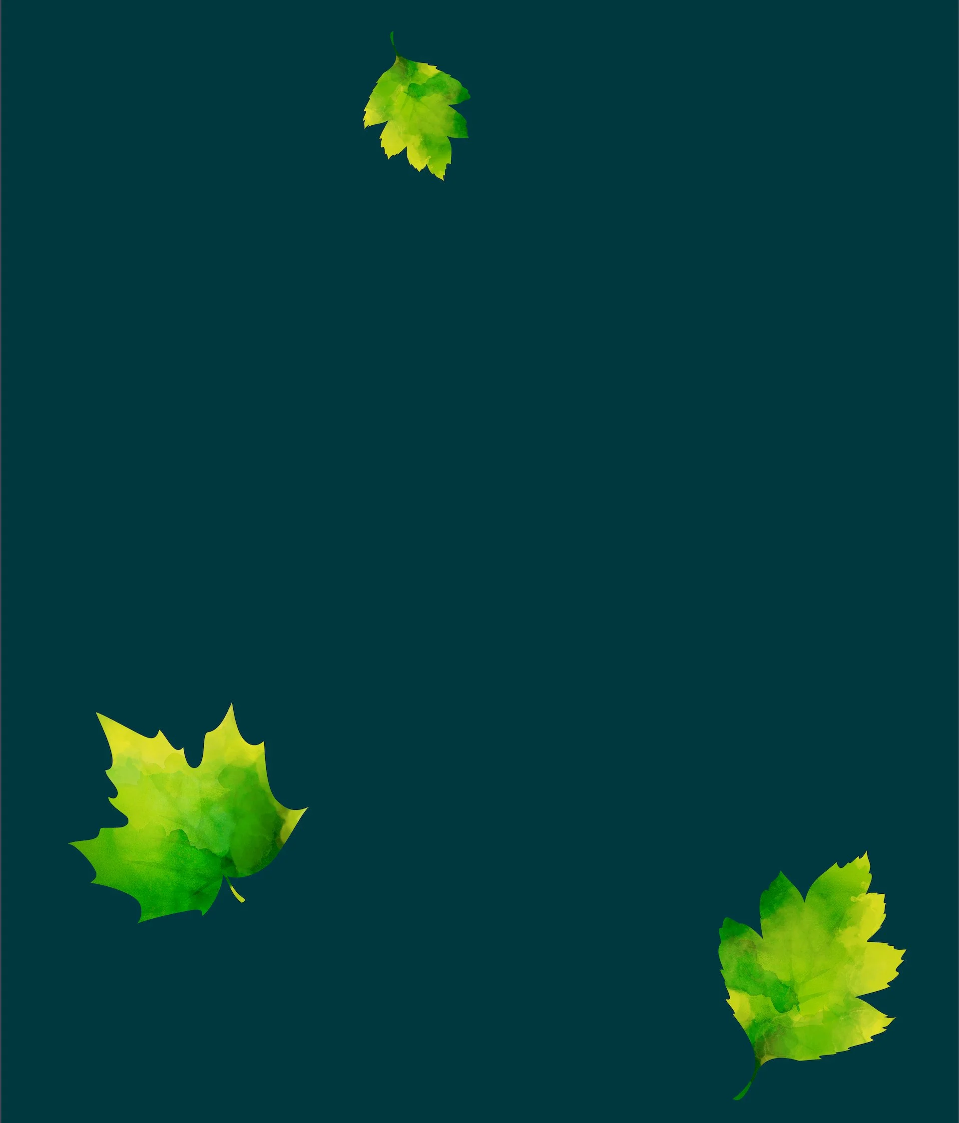 About Us | Transforming Landscapes & Communities | Raise: Cumbria ...