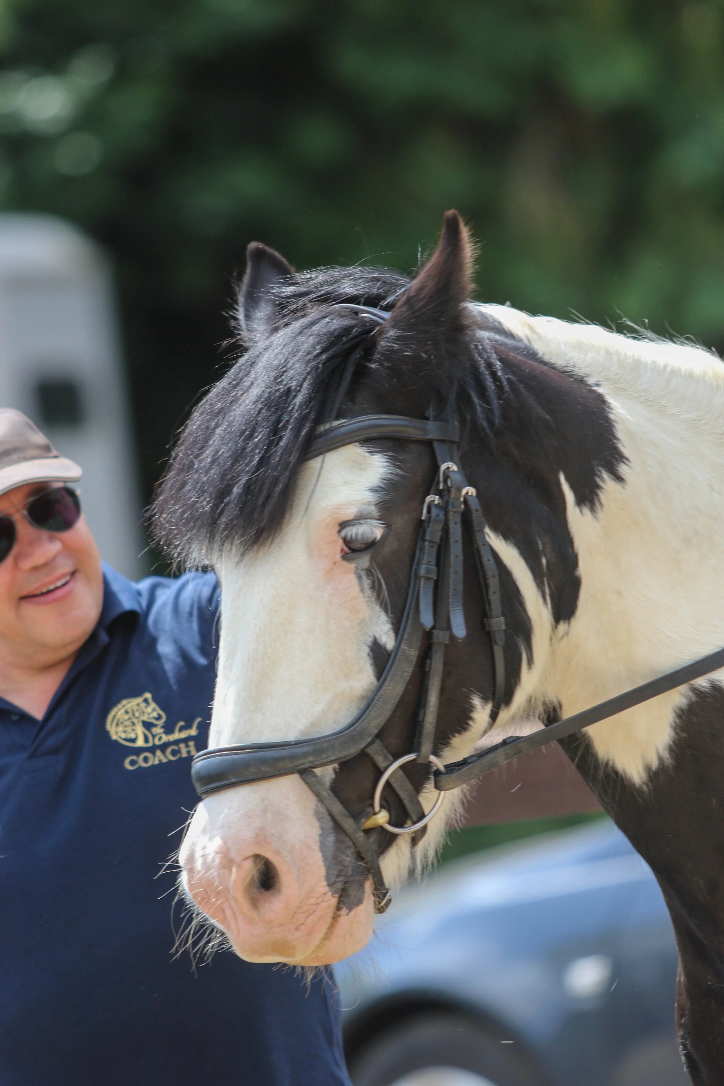 The Orchard Equine College & Equestrian Centre