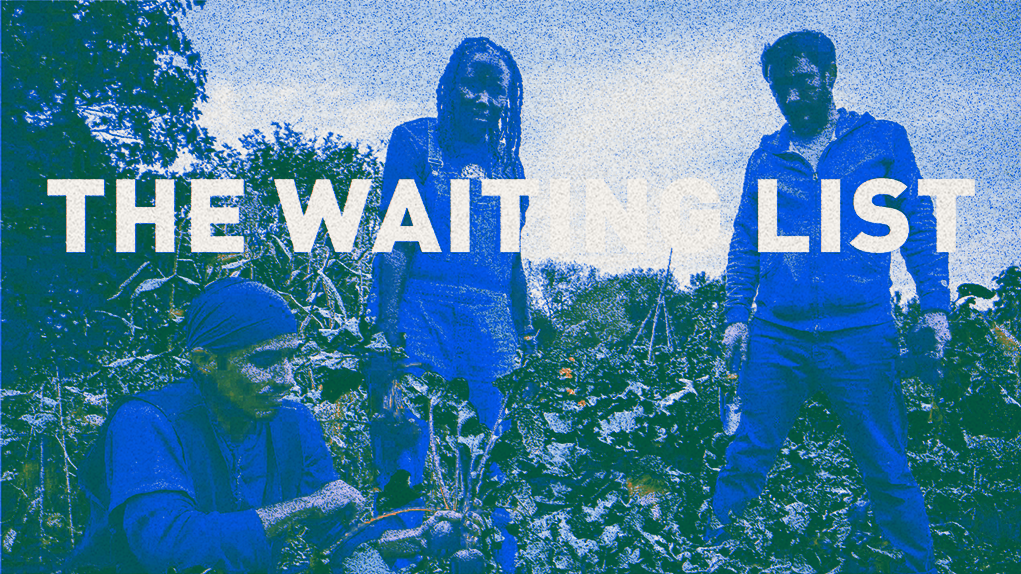 JC Niala | 'The Waiting List' Art & Activism Project | Climate Crisis ...