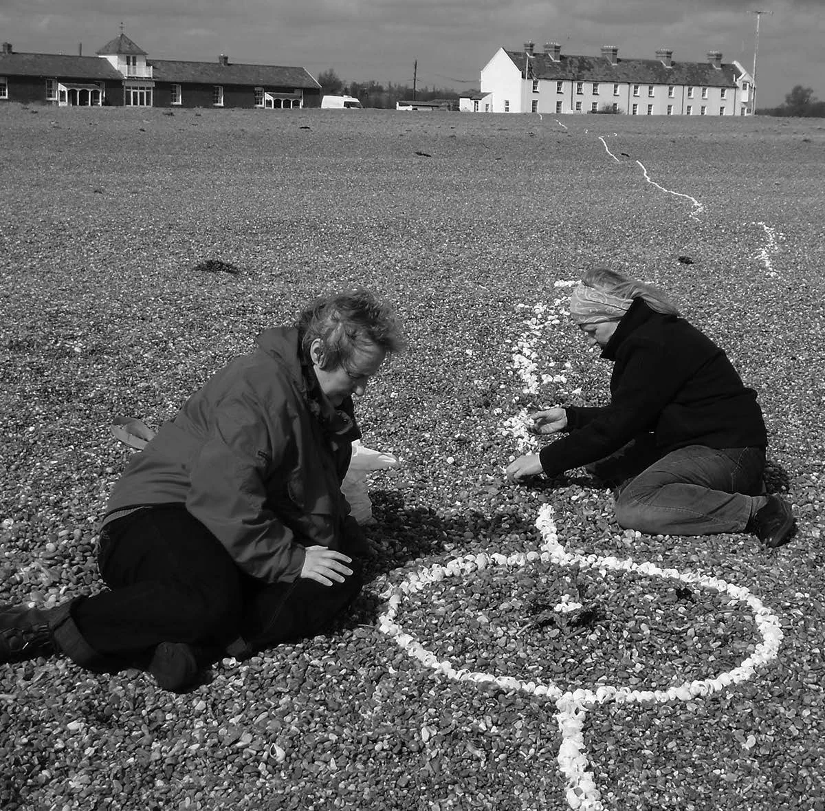 A Shell in Time — Cardozo Kindersley Workshop