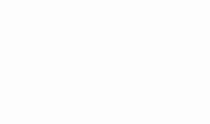 REDFOX — redfox nl