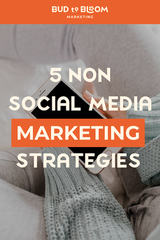 5 Non Social Media Marketing Strategies That Work | Bud to Bloom Marketing