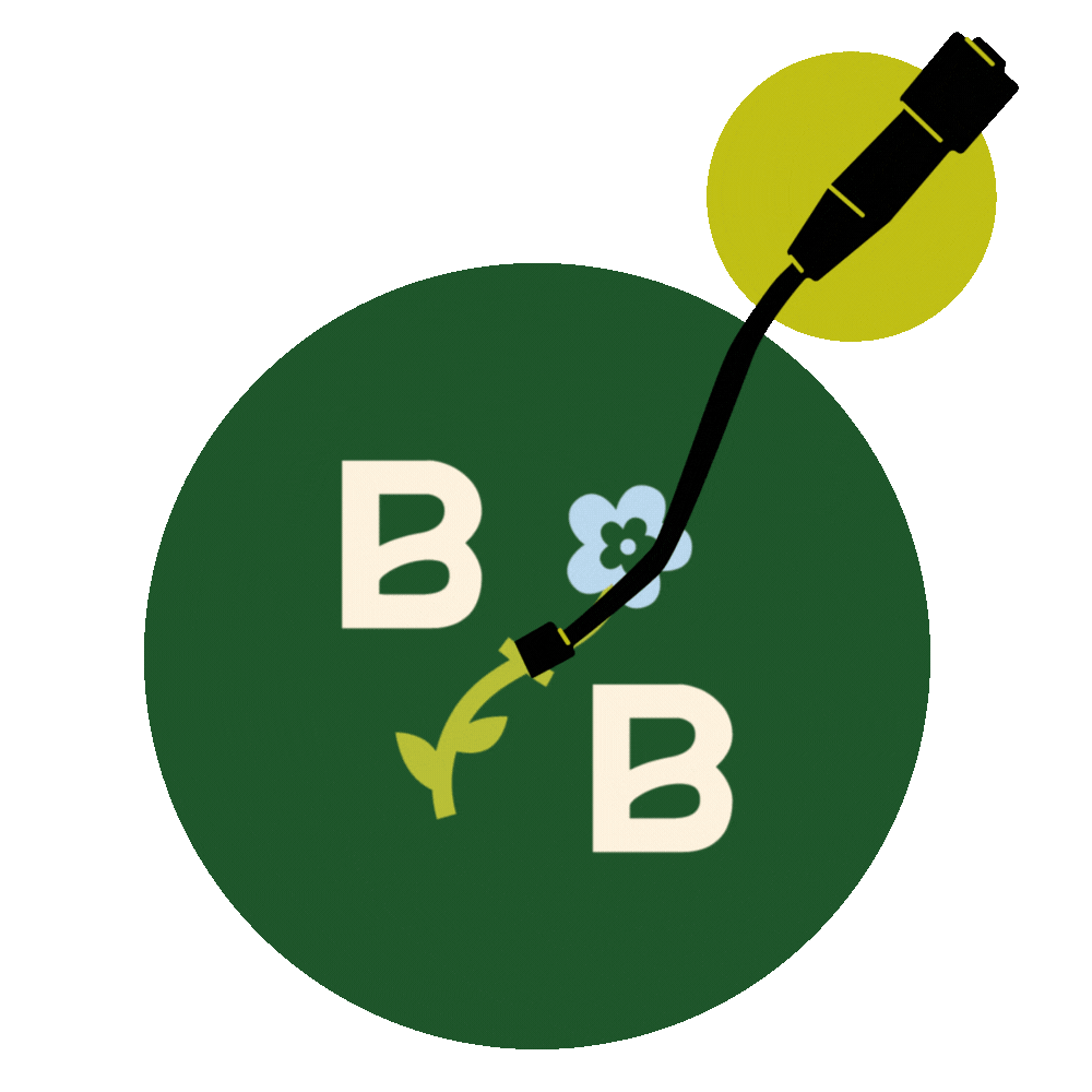 How to Create a GIF in Canva for Your Website | Bud to Bloom Marketing