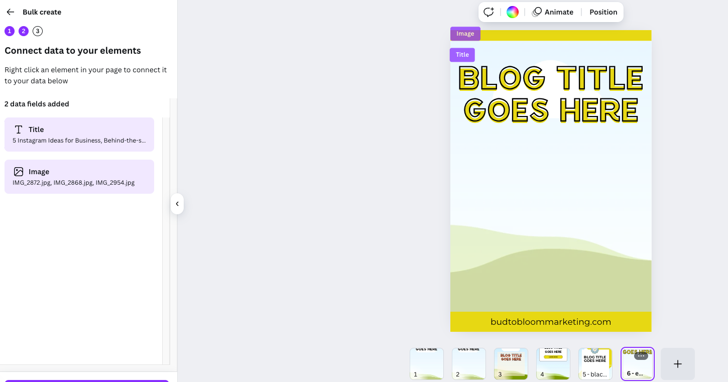 How to Use the Canva Bulk Create Tool | Bud to Bloom Marketing
