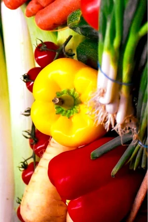 Samuels Farm Shop & Butchers - Your Local Butcher in Wisbech