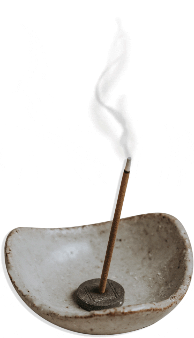 Contact — Grazia Campolmi