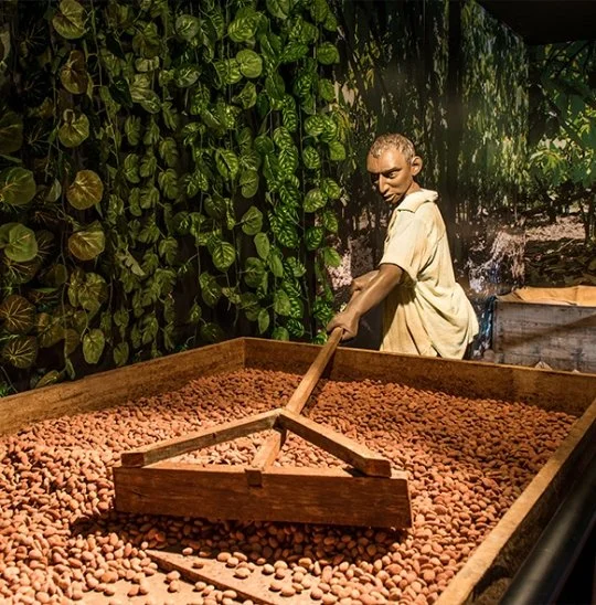 Blog — Choco-Story México