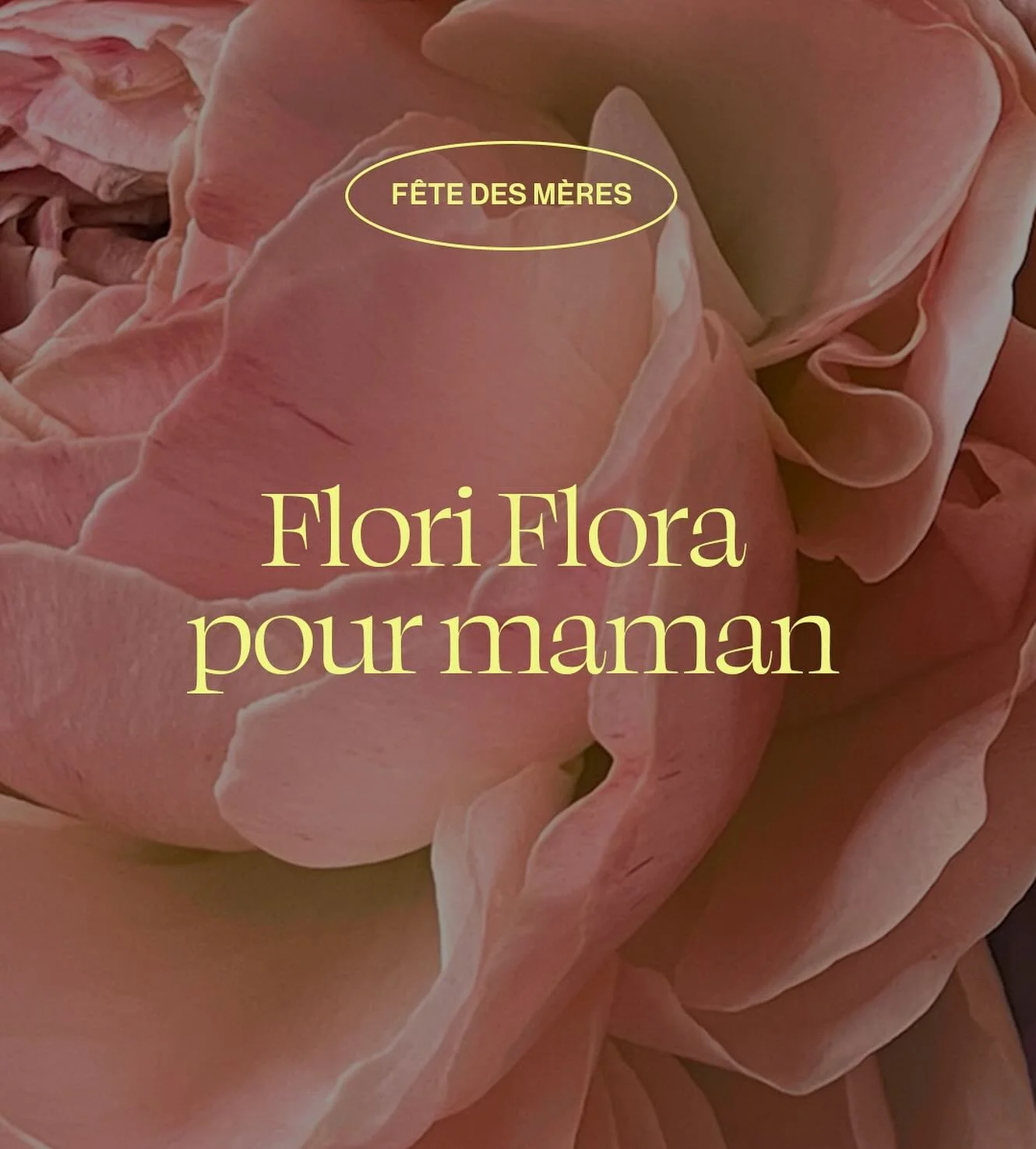 Flori Flora Fleurs