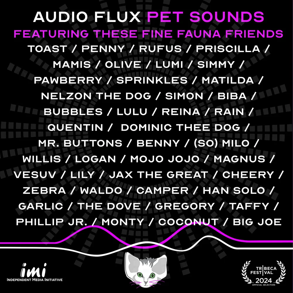 Circuit 03 (Pet Sounds) — AUDIO FLUX