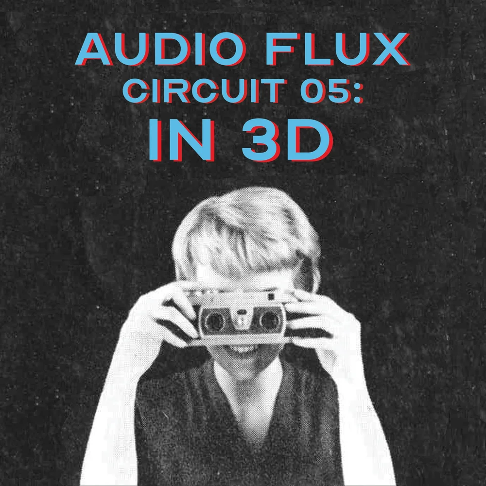 AUDIO FLUX