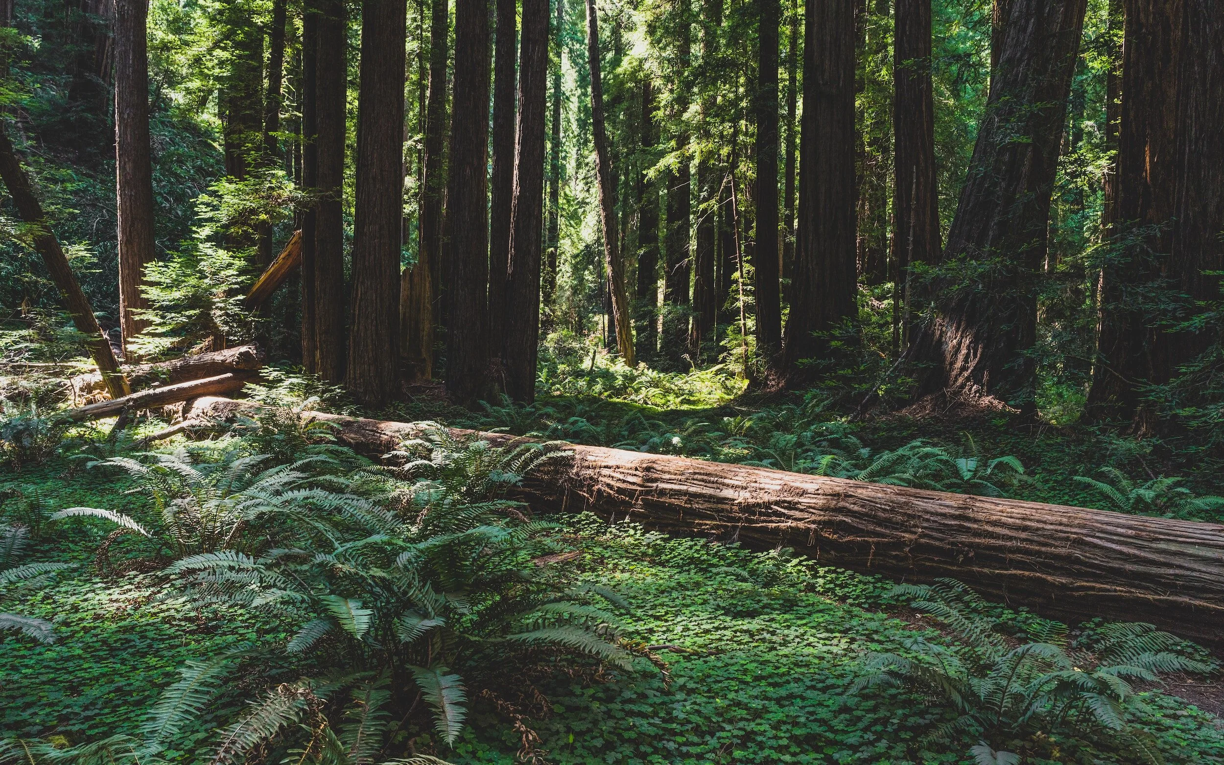 Events Calendar — Visit Fortuna California