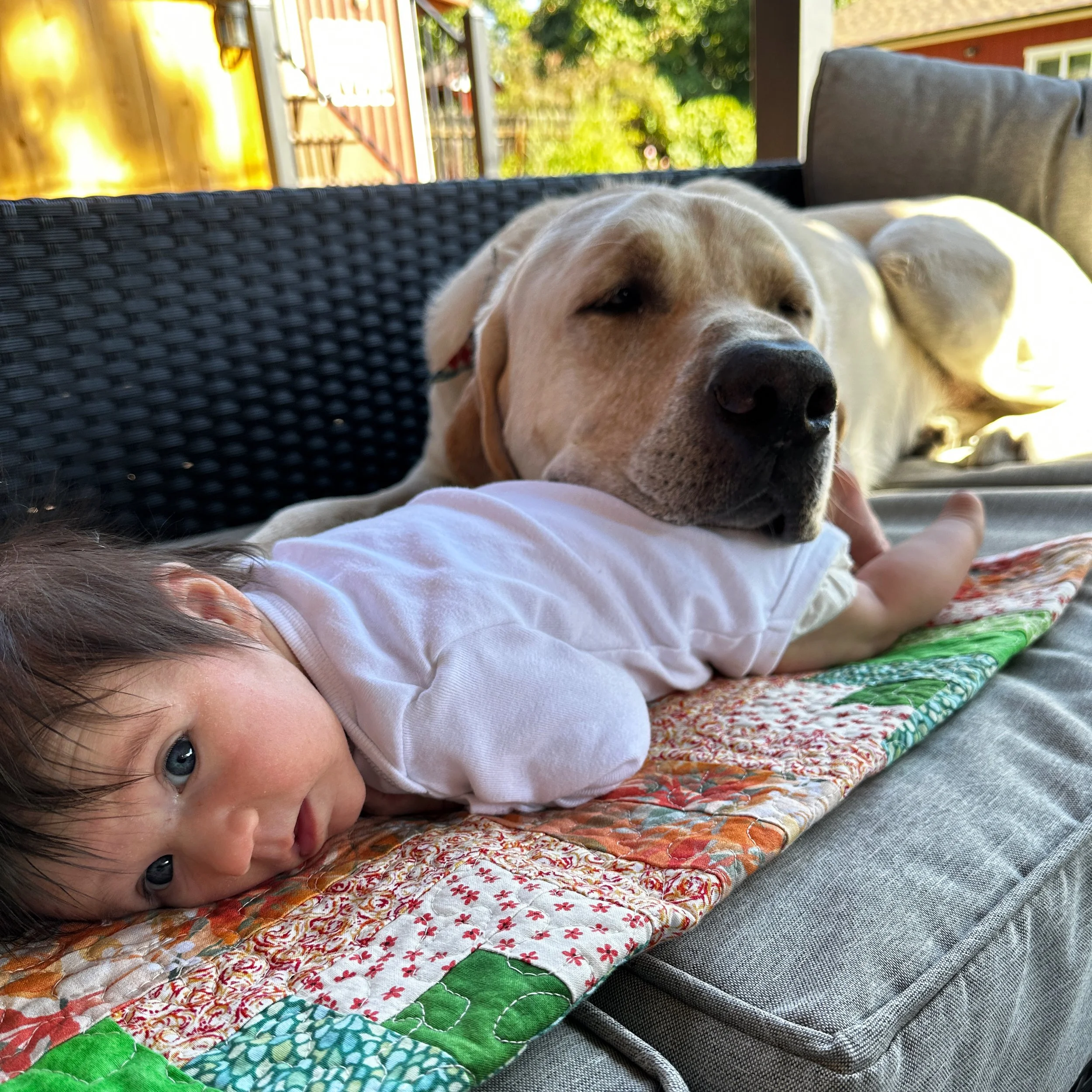 About Lisa Feret for Colorado House District 24 — Lisa For Colorado!