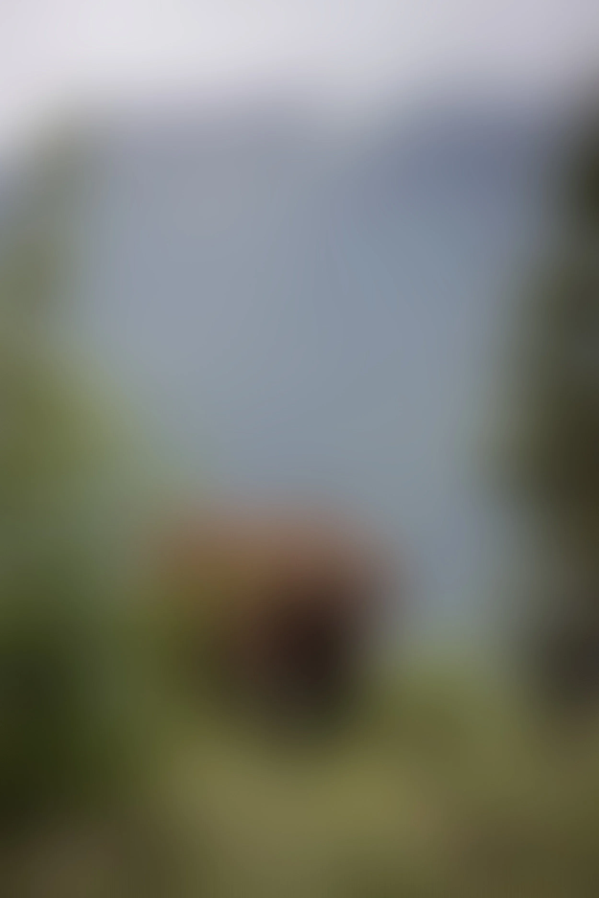 Grizzly Confidential — Kevin Grange
