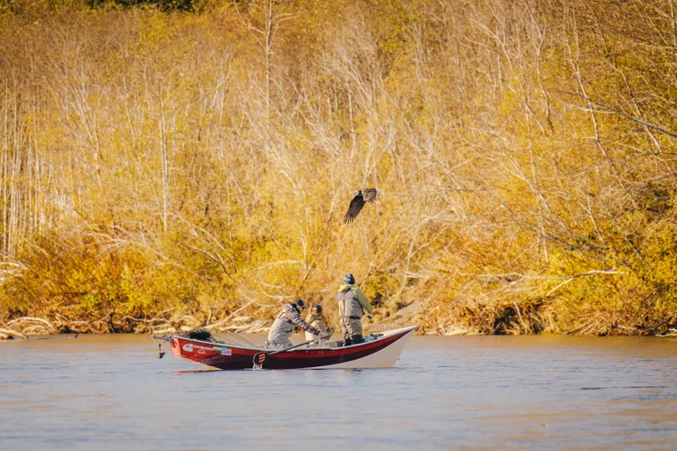 Area Attractions — Friends Landing