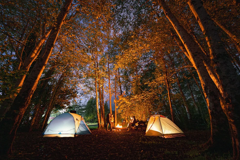 Activities — Friends Landing