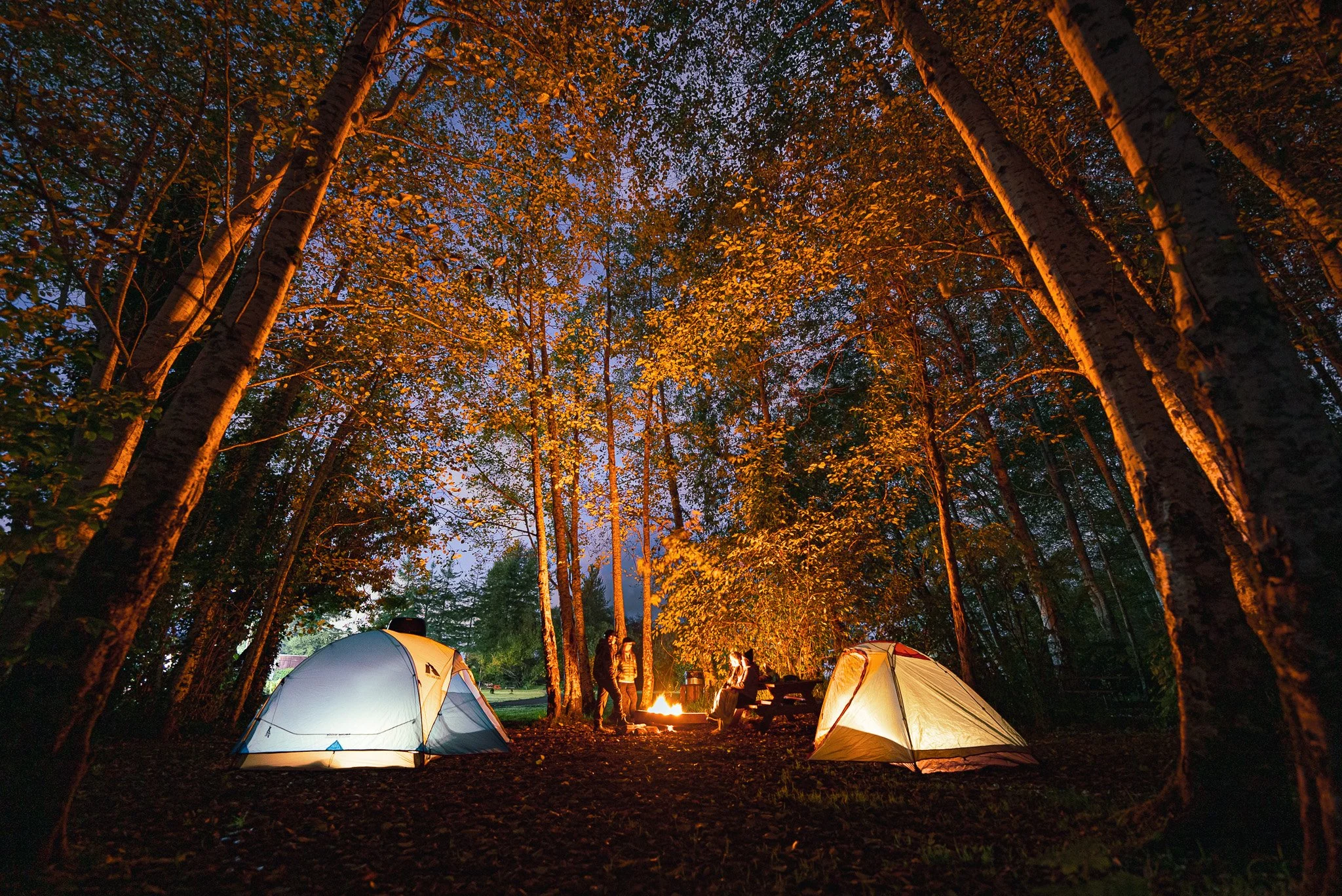 Activities — Friends Landing