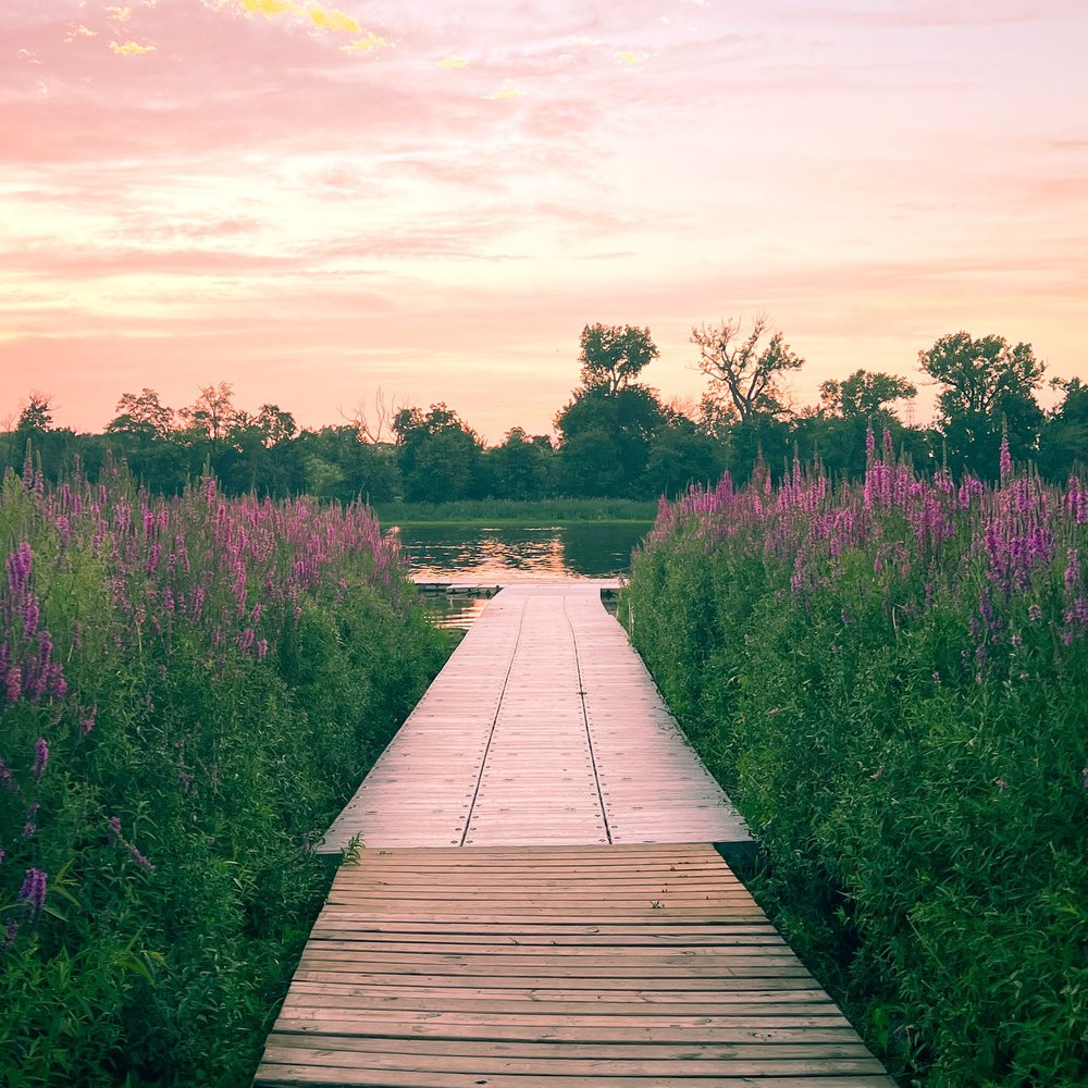 About — Moline River Front + Centre Plan