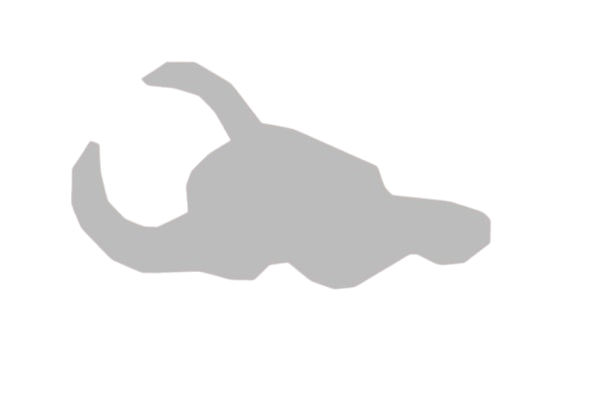 the interbeing project