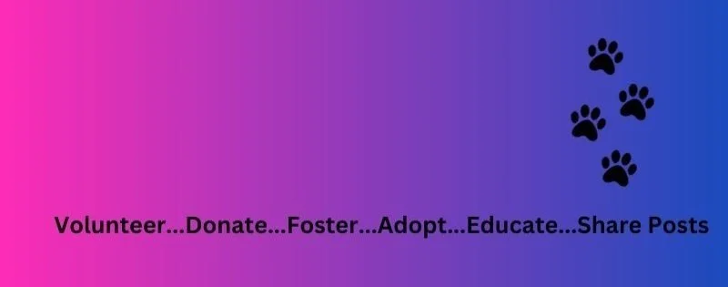 Our Mission — Roxz's Resources & Awareness, Inc.