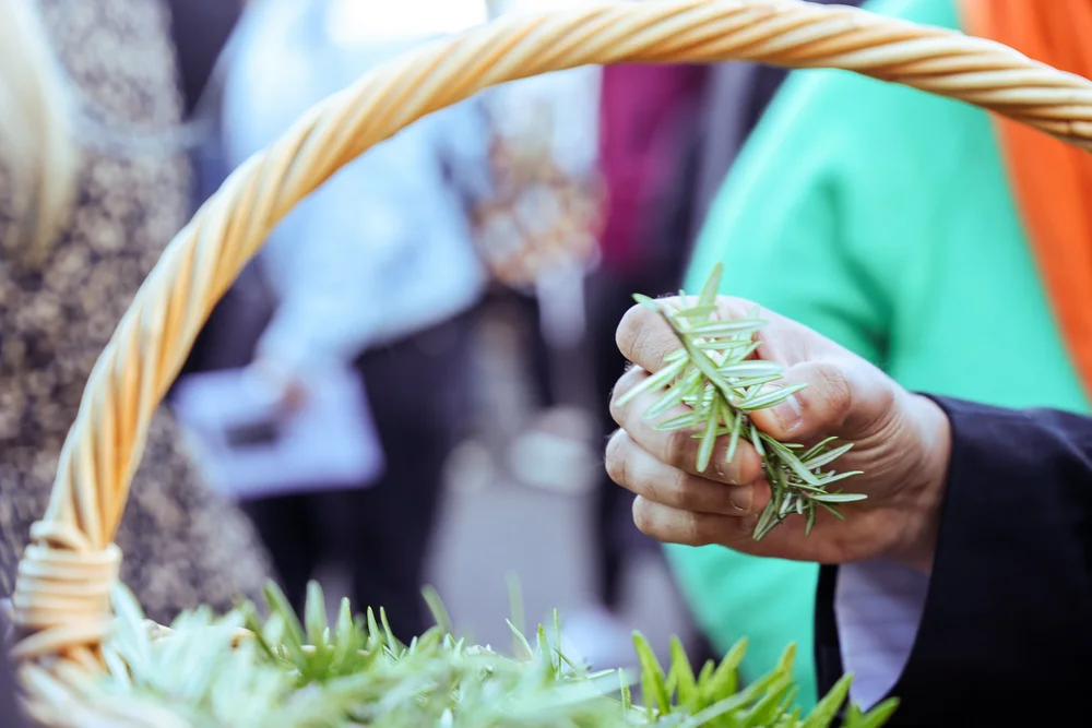 Grief Support & Resources | Palmerston North Funeral Services Blog