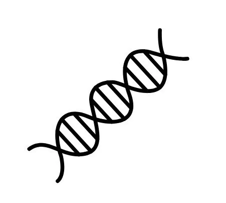 About — mdlongevitylab.com