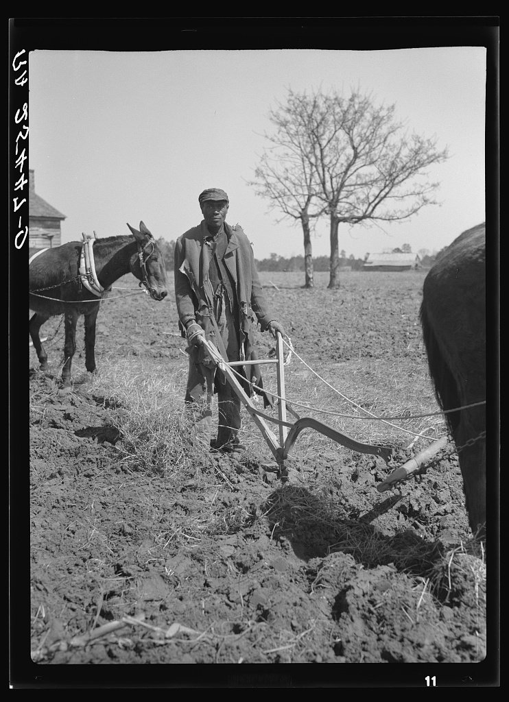 The Rise of Sharecropping and Tenant Farming in Post-Reconstruction ...