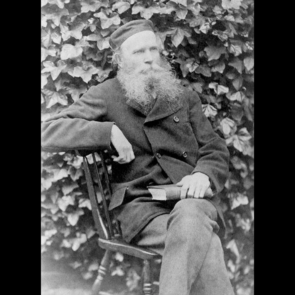 #403 Thrive & Survive — My Favorite Murder