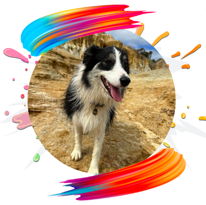 Services — Collie Farm Stays