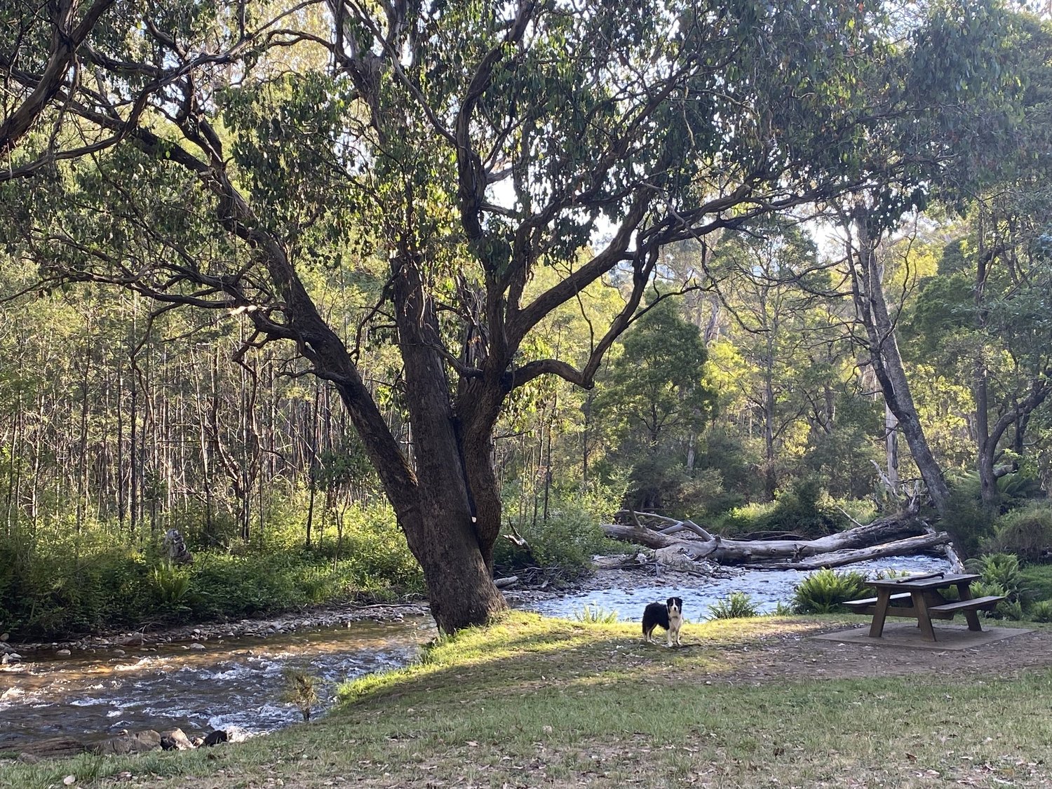 Services — Collie Farm Stays