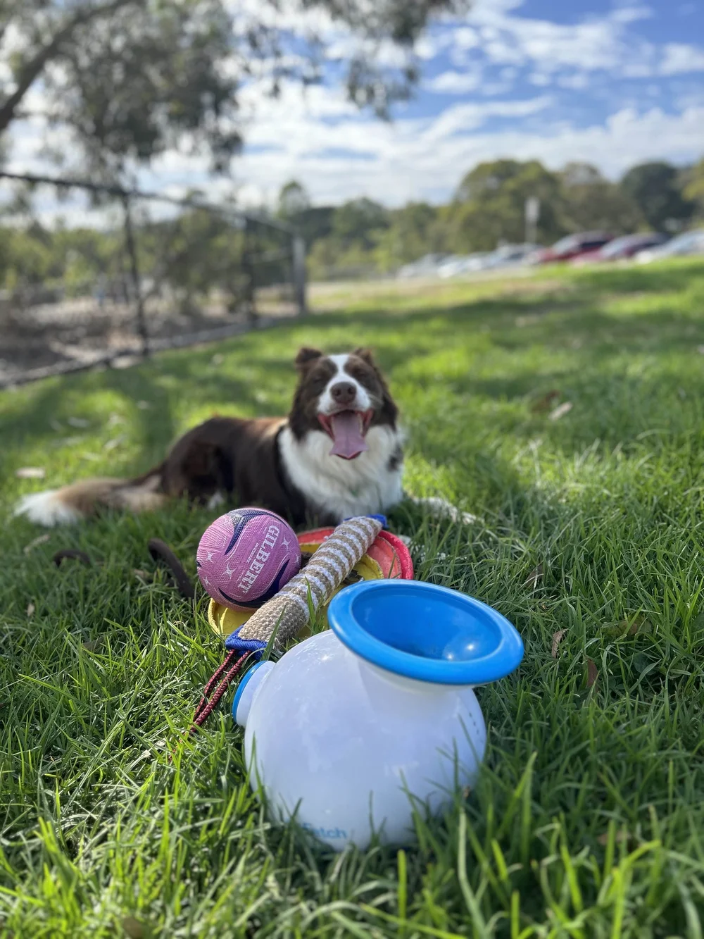 Services — Collie Farm Stays