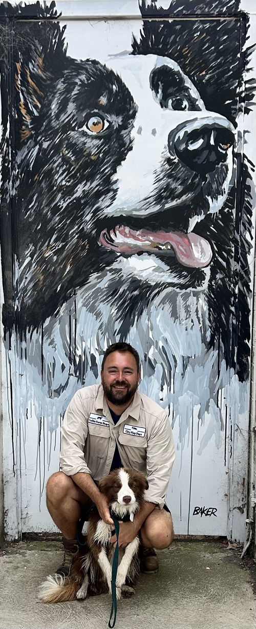 About Us — Collie Farm Stays