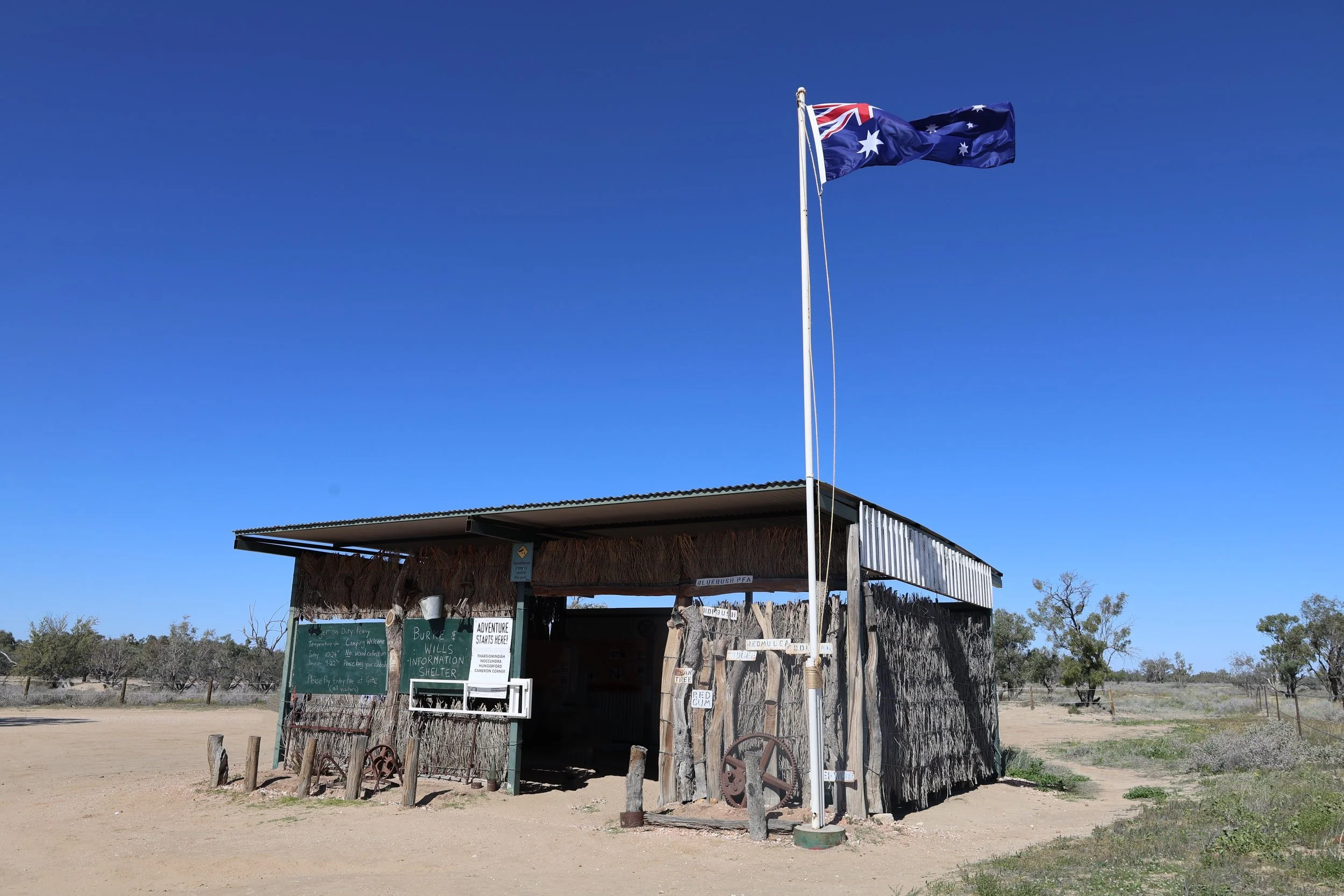 About — The Dig Tree