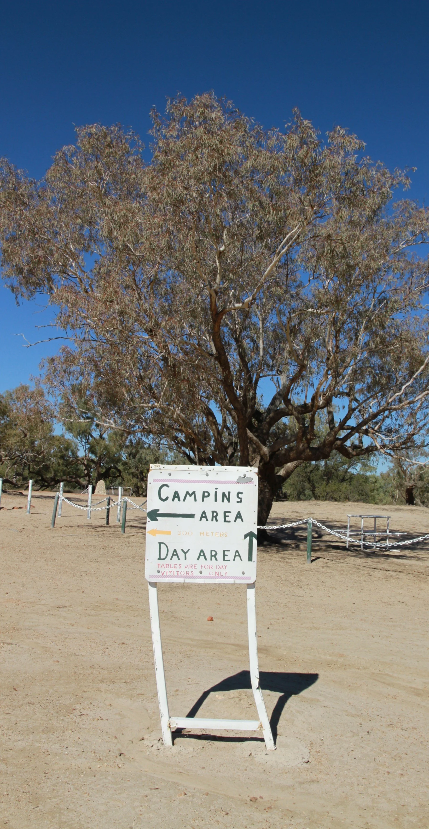 Camping — The Dig Tree