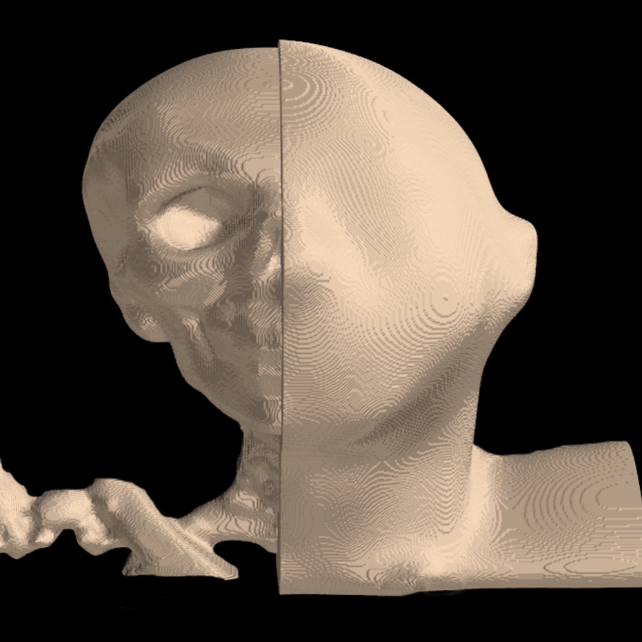 CT Facial Reconstruction — Monash DeepNeuron