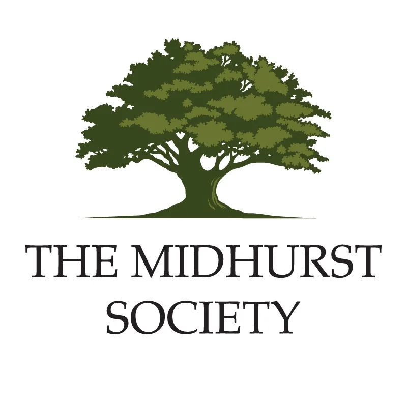 Midhurst Vision