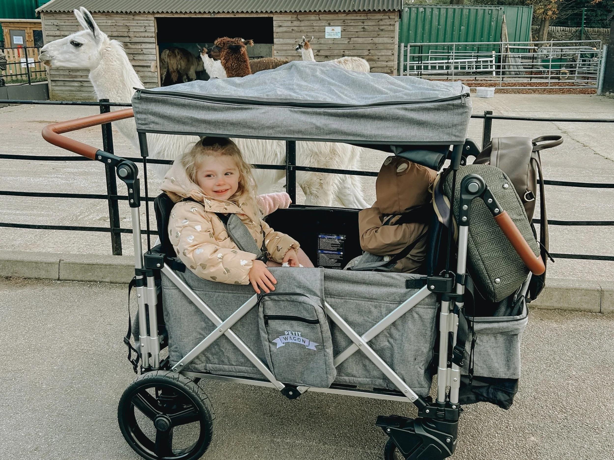 The Beetle - 4P — Petit Wagon