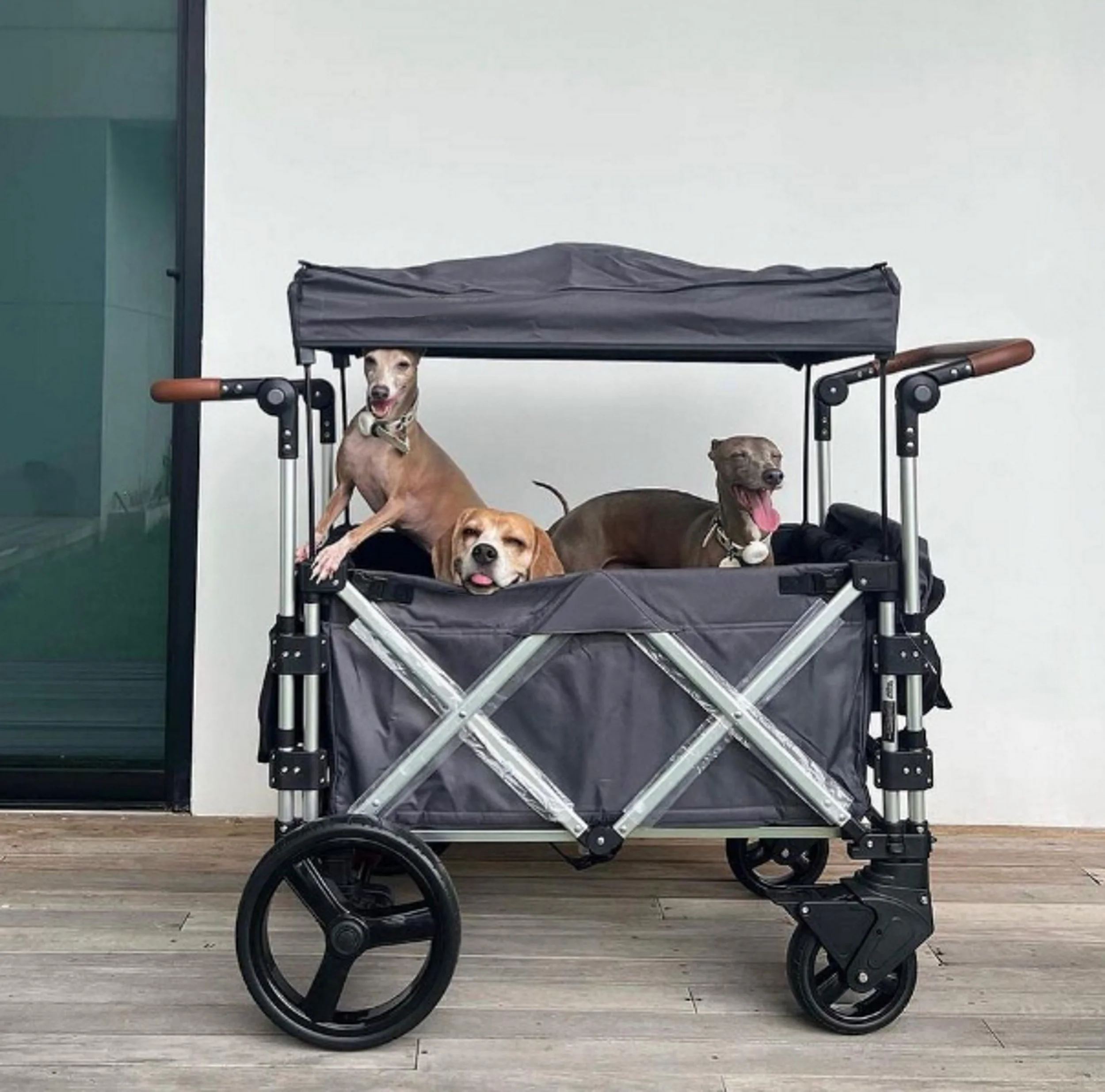 A buggy for the whole family | From 6 mths to 7 yrs old