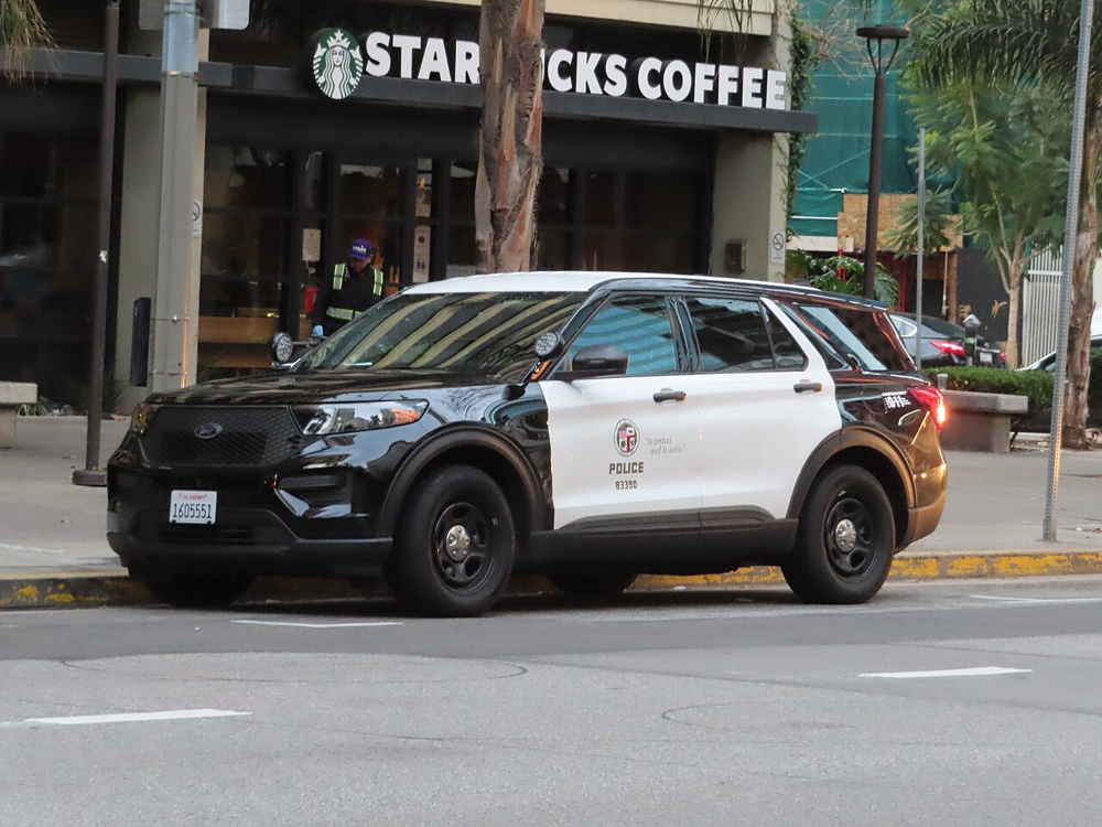 What’s the Best Patrol Vehicle in 2025? — Blueprint Fleet Outfitting