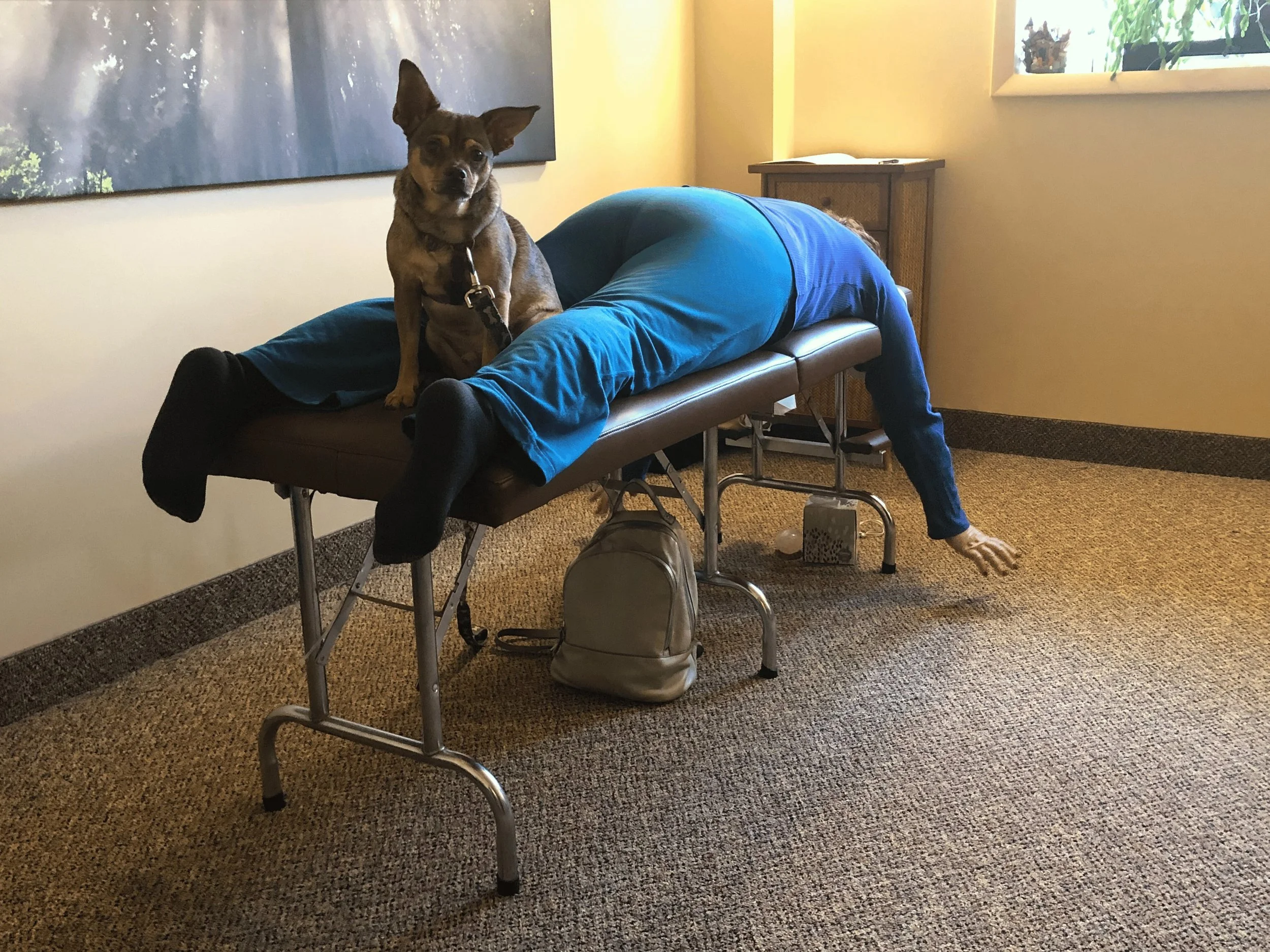 Chiropractic — Inner Sage Healing Arts Center