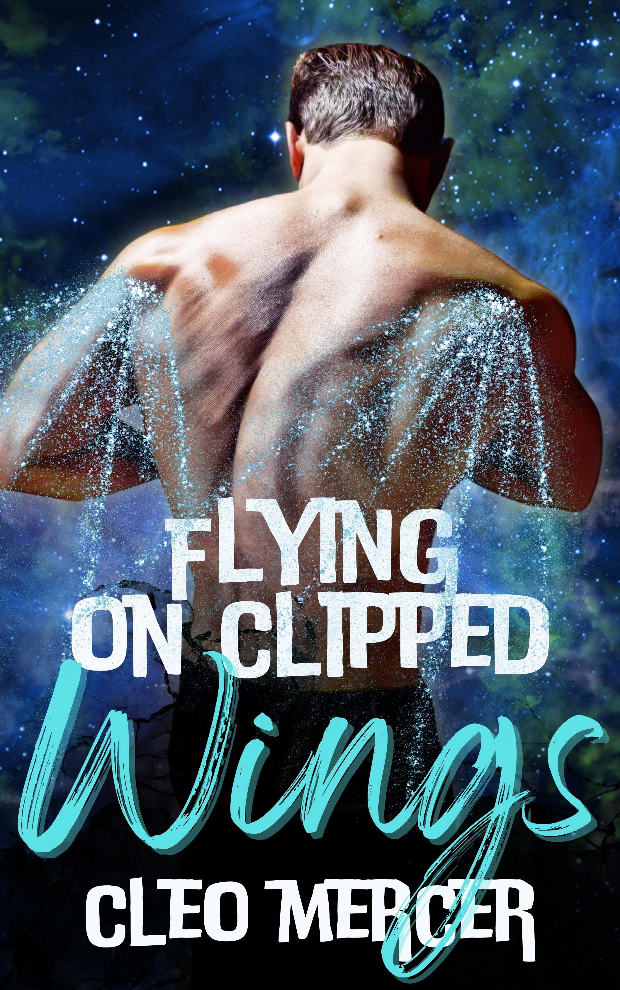 Flying on Clipped Wings — Cleo Mercer