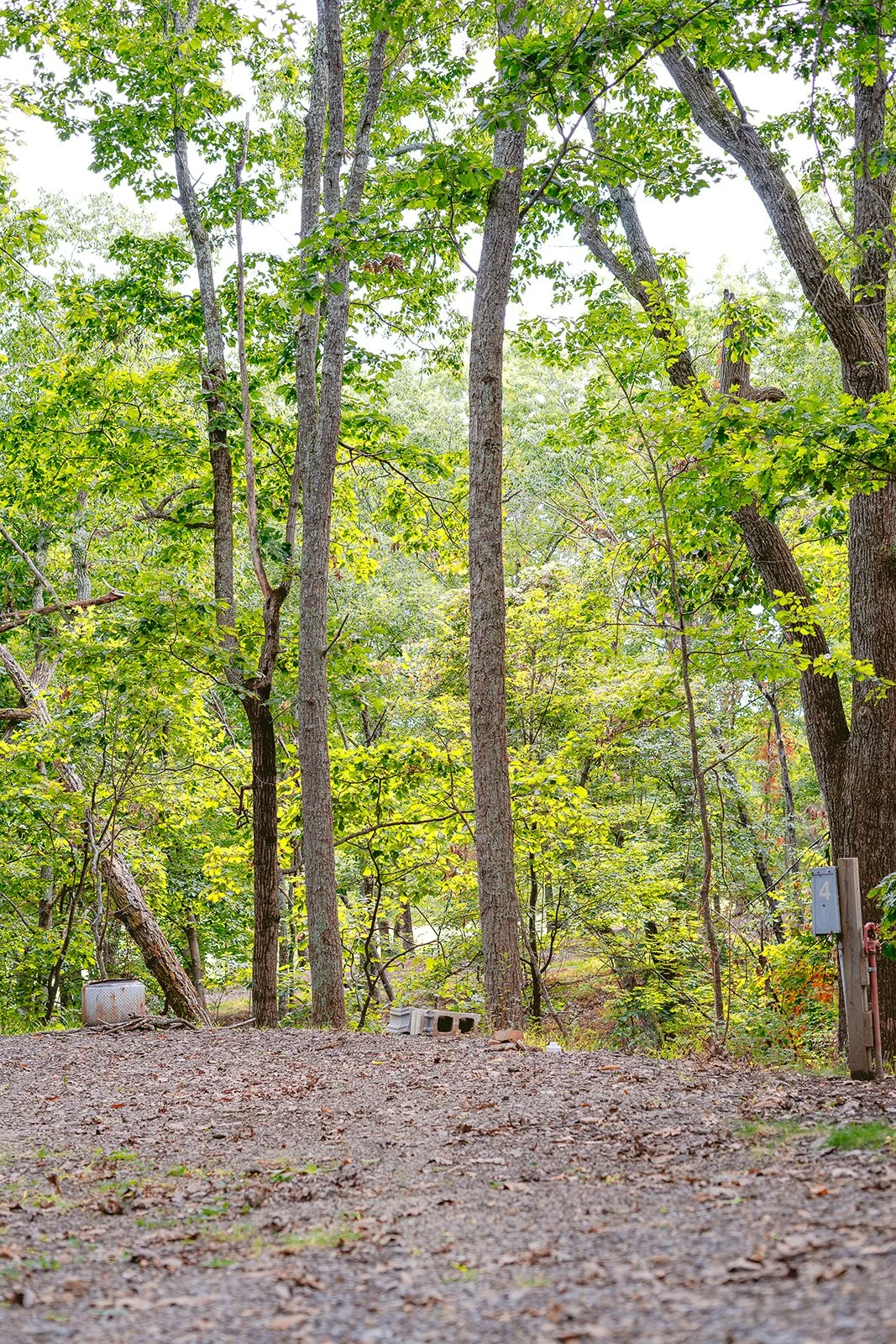 Middle Ridge Campground Photo Gallery — Middle Ridge Campground