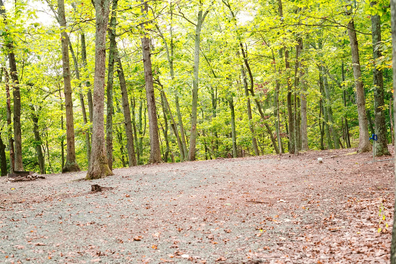 Middle Ridge Campground Photo Gallery — Middle Ridge Campground