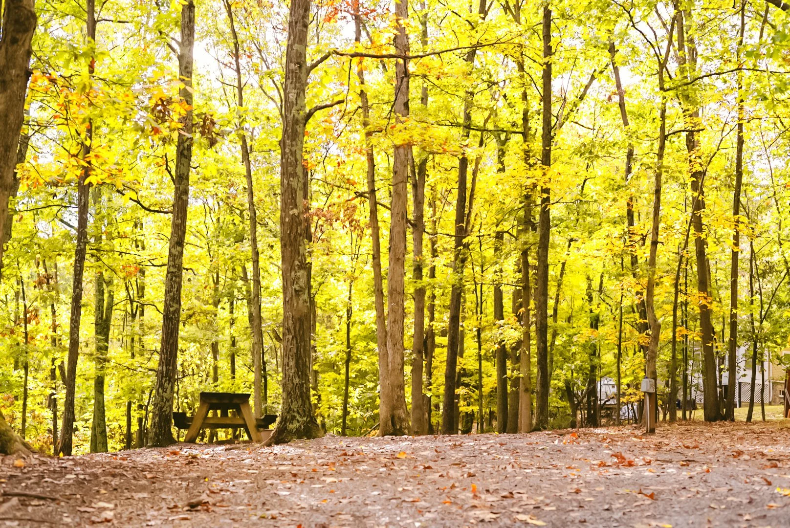 Middle Ridge Campground Photo Gallery — Middle Ridge Campground