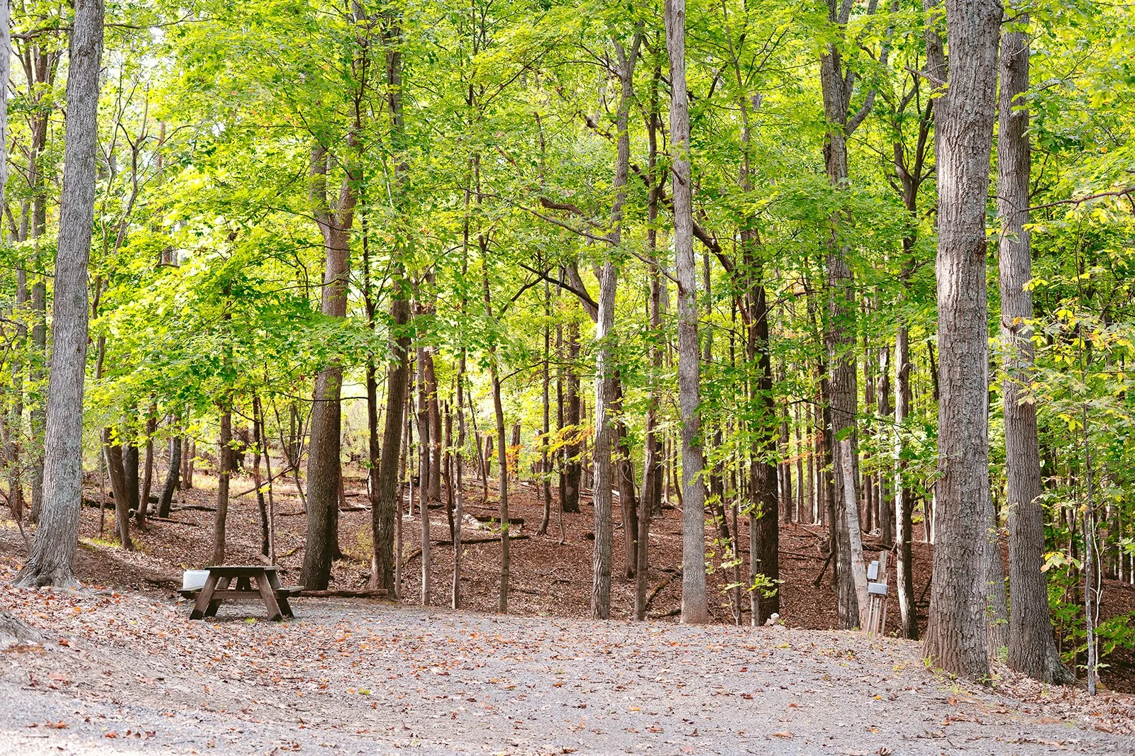 Middle Ridge Campground Photo Gallery — Middle Ridge Campground