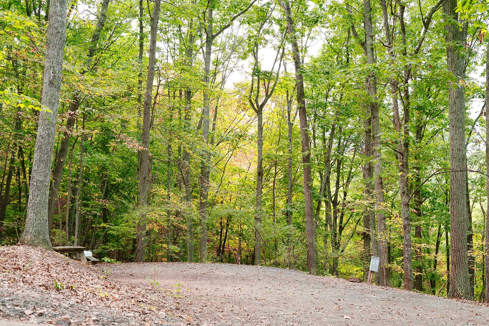 Middle Ridge Campground Photo Gallery — Middle Ridge Campground