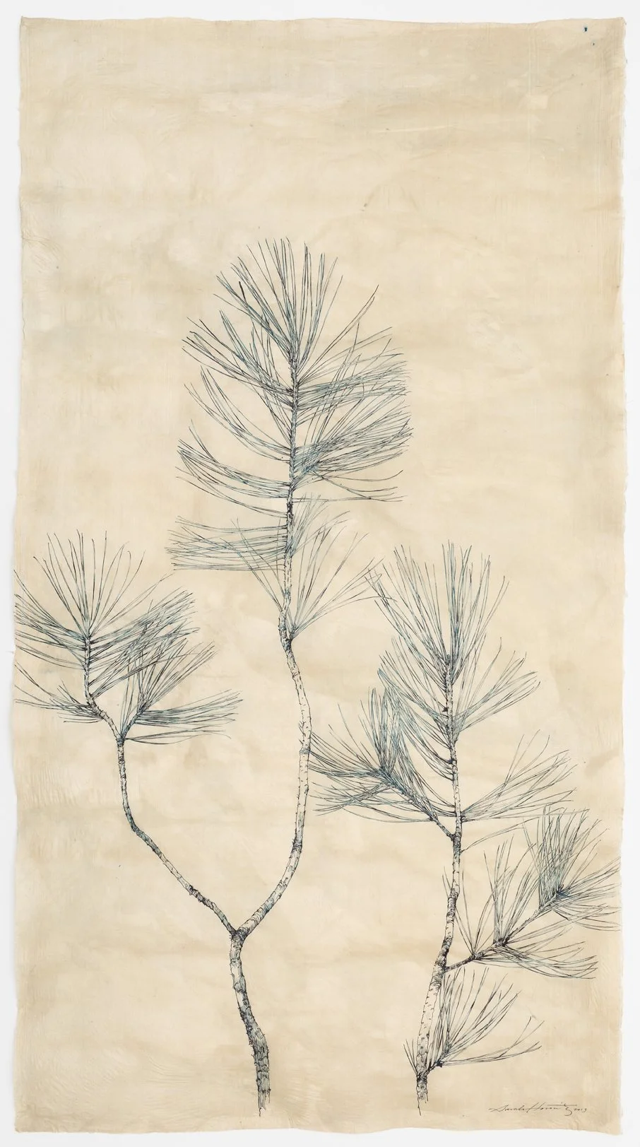 Surface Tension — Sarah Horowitz